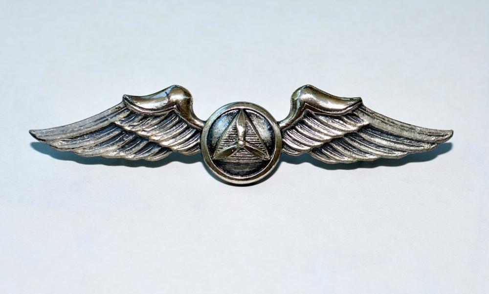 Civil Air Patrol Wings - WING BADGES - U.S. Militaria Forum