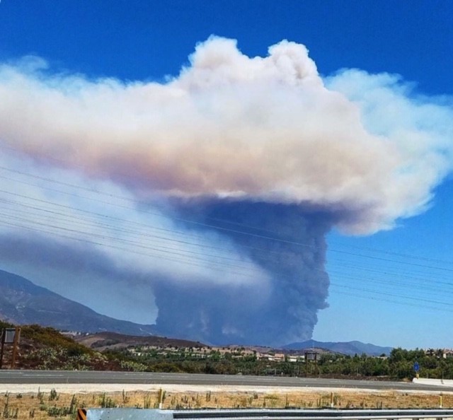 Dug M1 helmet liner Camp Pendleton Edson Range - M-1; M-1C & M-2 ...