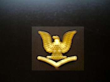 Navy pin back rate - NAVY, COAST GUARD AND OTHER SEA SERVICES - U.S ...