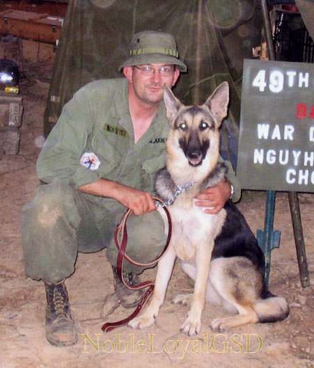 Scout dog team impression - REENACTING GROUPS & REPRO GEAR - U.S ...