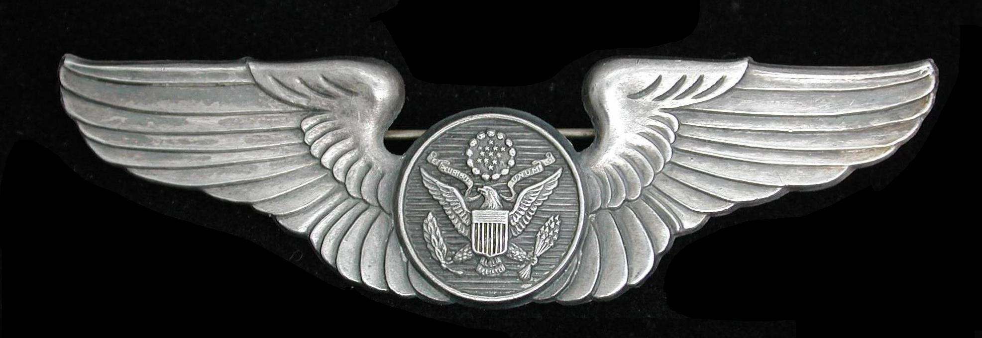 Radioman badge? - WING BADGES - U.S. Militaria Forum