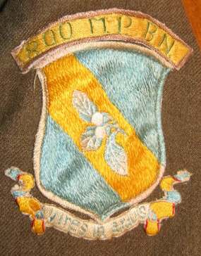 Rare Patches - Bring Out Some Photos - Page 7 - MISCELLANEOUS / OTHER ...