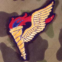 Pathfinder patches - ARMY AND USAAF - U.S. Militaria Forum