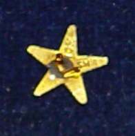 A WW2 era Navy Gold Star marked 10K gold - MEDALS & DECORATIONS - U.S ...