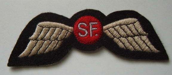 OSS/ SOE wings - ARMY AND USAAF - U.S. Militaria Forum