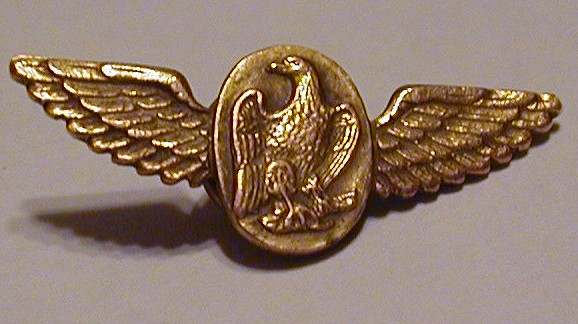 droop wing eagle wings - WING BADGES - U.S. Militaria Forum