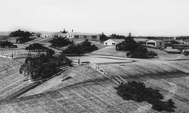 Hiding Lockheed, WWII Photo's and Video, This Is Incredible! - MISC ...