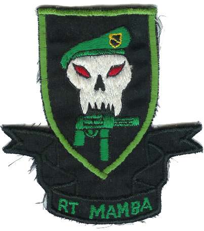 RT mamba patch- original? - ARMY AND USAAF - U.S. Militaria Forum