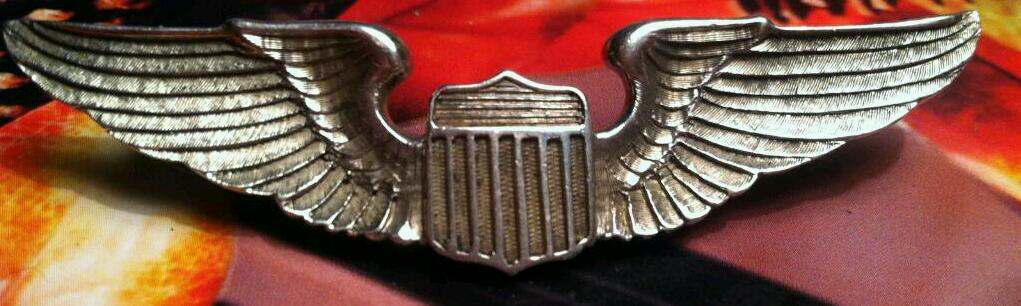 Cbi Pilot - WING BADGES - U.S. Militaria Forum