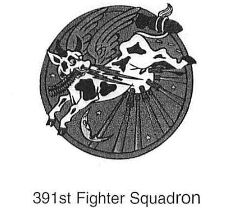 391st Fighter Squadron - ARMY AND USAAF - U.S. Militaria Forum