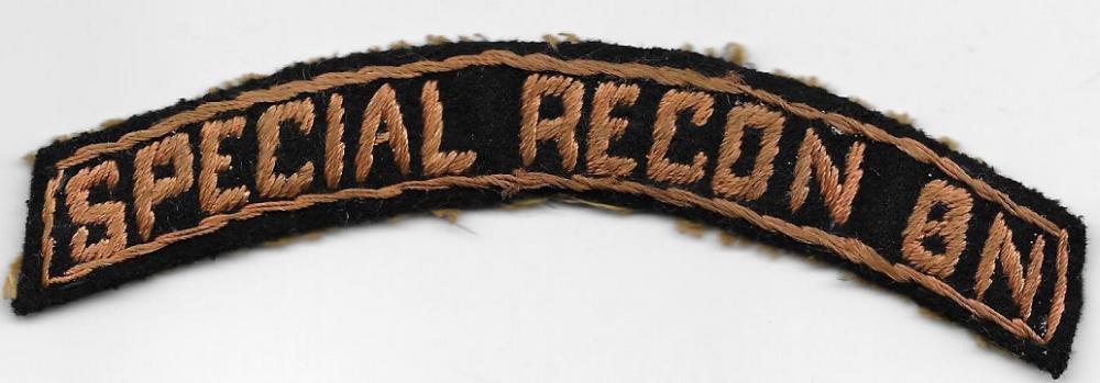 Special Recon Bn? - ARMY AND USAAF - U.S. Militaria Forum