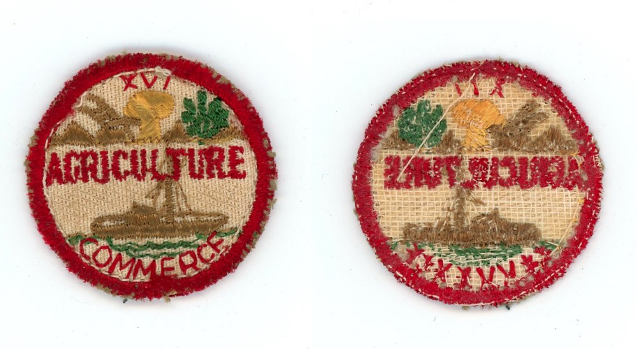 WW2 Tennessee State Guard cap patch - MISCELLANEOUS / OTHER - U.S ...