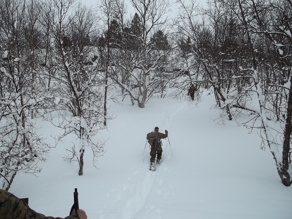 USMC winter weather training? - Page 2 - MILITARY HISTORY DISCUSSIONS ...