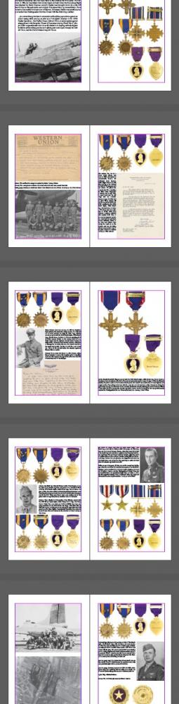 Update on my Posthumous Purple Heart Book - MEDALS & DECORATIONS - U.S ...
