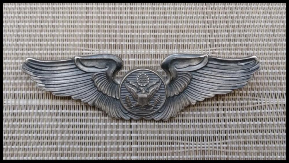 AC Wings LeVelle Clutchback - WING BADGES - U.S. Militaria Forum