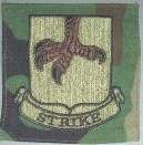 502nd Inf BDU Pocket Patch - ARMY AND USAAF - U.S. Militaria Forum