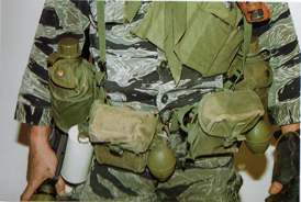 Tiger Stripes - Page 34 - CAMOUFLAGE UNIFORMS - U.S. Militaria Forum