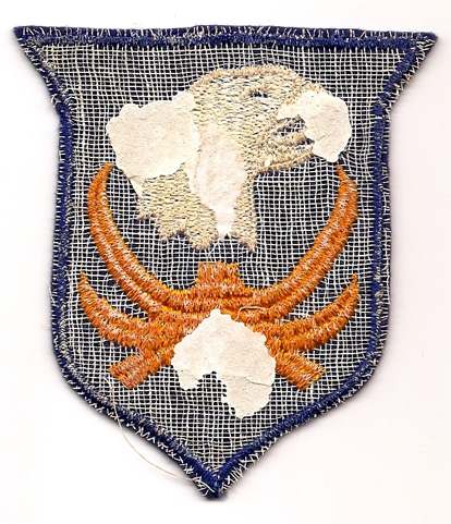 101st Infantry Division patch - ARMY AND USAAF - U.S. Militaria Forum