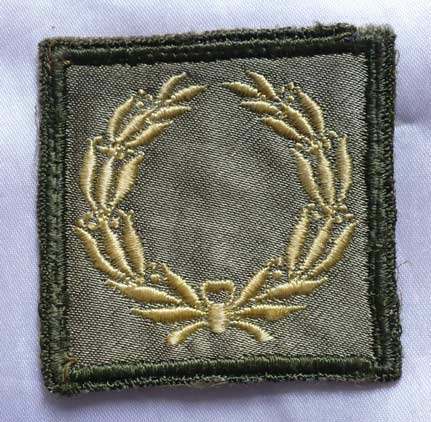Meritorious Service silk patch - ARMY AND USAAF - U.S. Militaria Forum