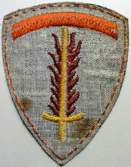 Newest Additions - ARMY AND USAAF - U.S. Militaria Forum