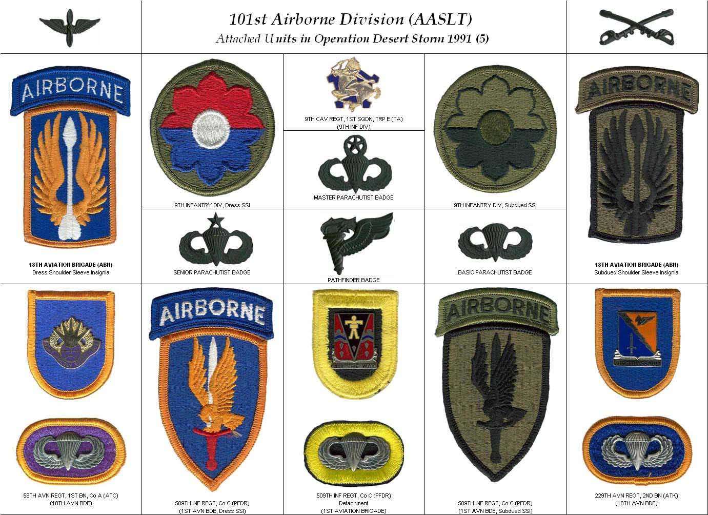 Flash and Ovals ID's - Page 9 - ARMY AND USAAF - U.S. Militaria Forum