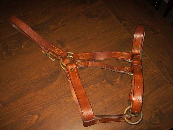 M1904 Cavalry Halter - FIELD & PERSONAL GEAR SECTION - U.S. Militaria Forum