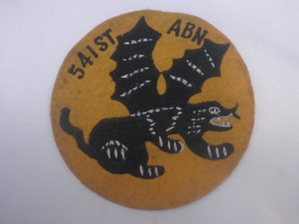 541st A/B Infantry regiment - ARMY AND USAAF - U.S. Militaria Forum