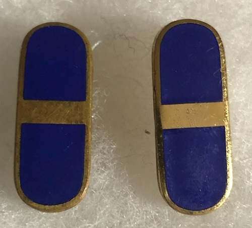 Interesting Discovery- Pair of WWII Flight Officer Rank - ARMY ...