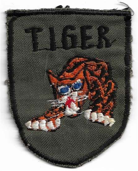 USAF Vietnam 1971-1972 Tiger patch - ARMY AND USAAF - U.S. Militaria Forum