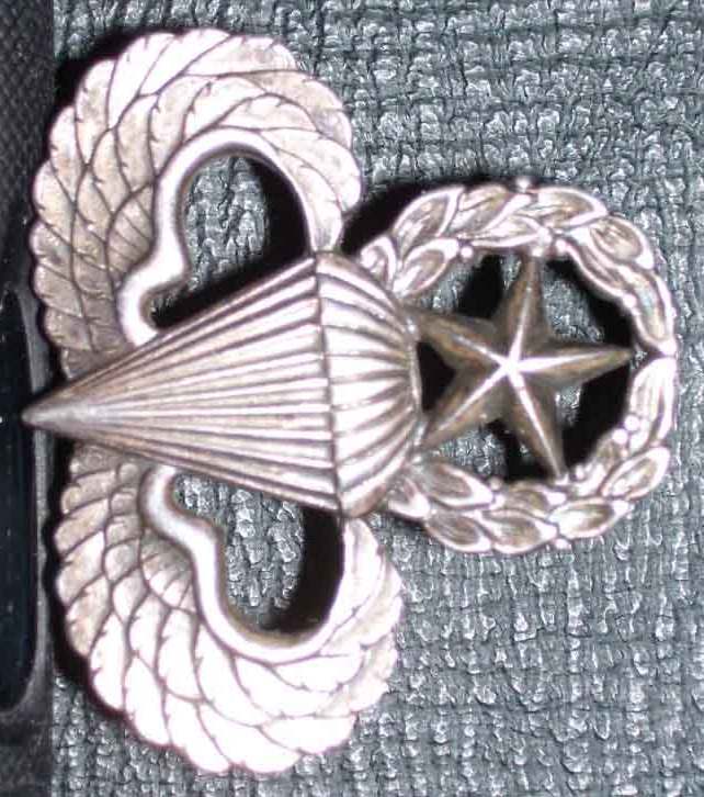 Senior Jump Wings (Added Star and Wreath) - AIRBORNE, GLIDER TROOPS ...