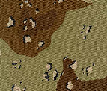 What's your favorite camo? - CAMOUFLAGE UNIFORMS - U.S. Militaria Forum