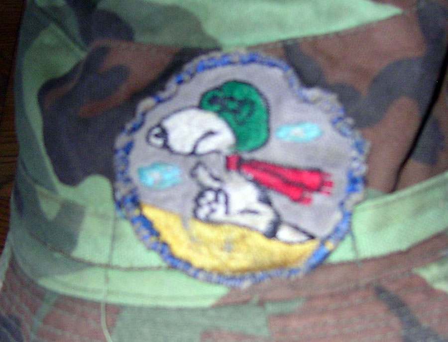 Snoopy and the USAF - AIR FORCE (USAAF IS WITH ARMY) - U.S. Militaria Forum
