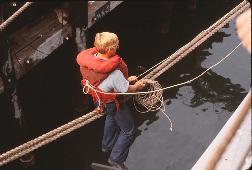 USN lifejackets? WW2? - FIELD & PERSONAL GEAR SECTION - U.S. Militaria ...