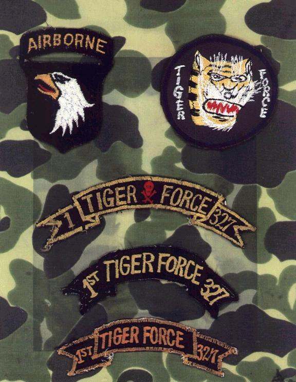 Dragon Force Patch - Vietnam - ARMY AND USAAF - U.S. Militaria Forum
