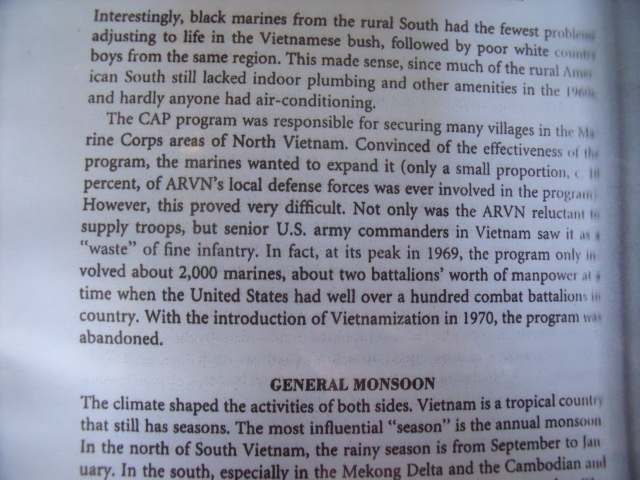 Vietnam Combined Action Program patch - MARINES - U.S. Militaria Forum