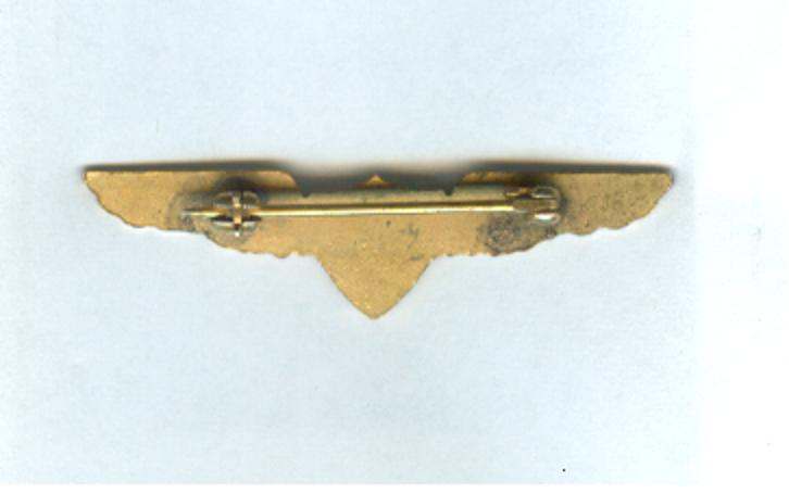 WAC Wings - WOMEN'S SERVICES - U.S. Militaria Forum