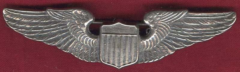 Pilot Wing with Much Detail - with added star - WING BADGES - U.S ...
