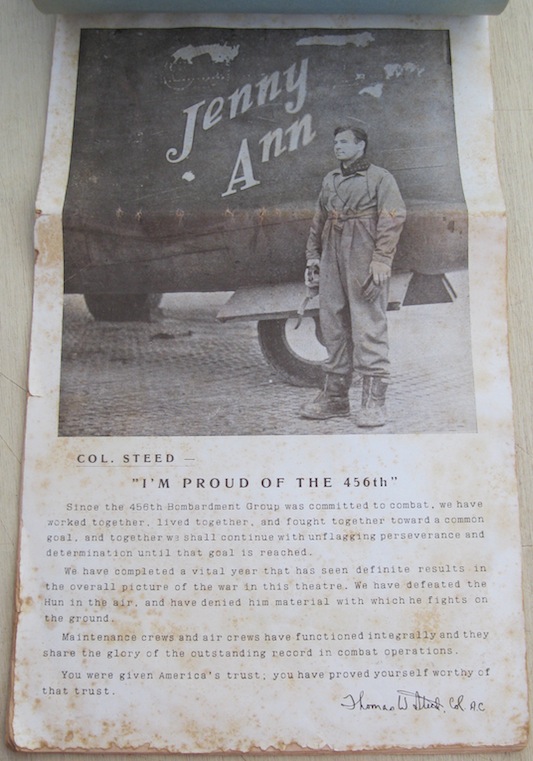 STEED'S FLYING COLTS Squadron Patch, Group Patch ? Grouping - GROUPINGS ...