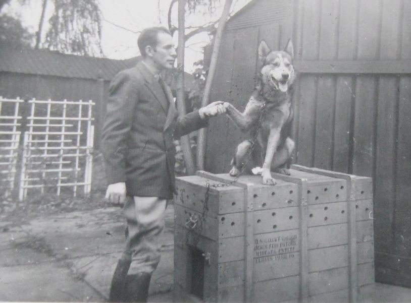 Where Do Devil Dogs Come From ? Lineage Of A US Marine War Dog To Iwo ...