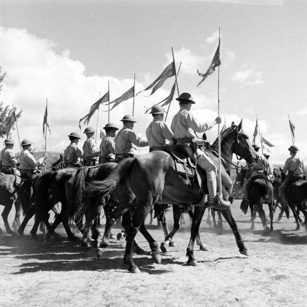 I bet you didn't know we had Lancers in WW2! - MISC MILITARIA - U.S ...