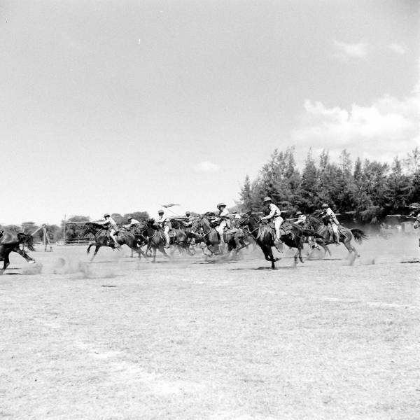 I bet you didn't know we had Lancers in WW2! - MISC MILITARIA - U.S ...