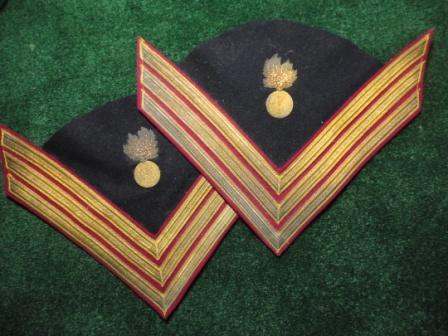 1884 Dress Uniform Chevrons - (1866-1890) PLAINS INDIAN WARS - Westward ...