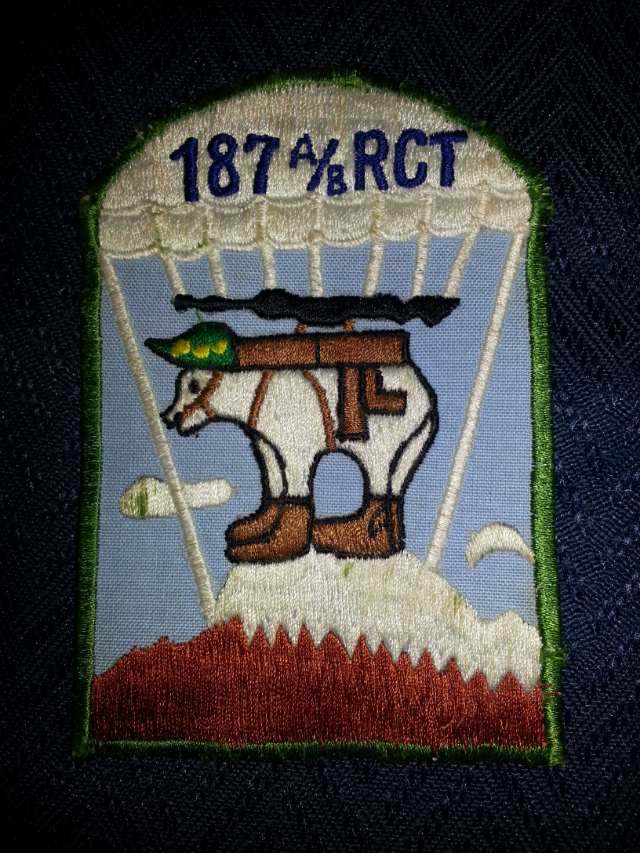 187th A/B RCT Patch - ARMY AND USAAF - U.S. Militaria Forum