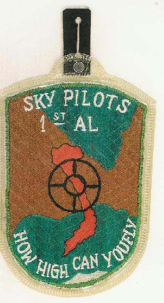 195th AHC Thunder Chickens - ARMY AND USAAF - U.S. Militaria Forum