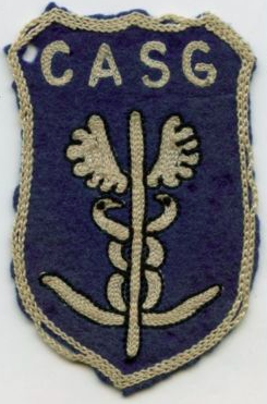 CASG medical patch - what is this? - CAN YOU IDENTIFY THIS PATCH? - U.S ...