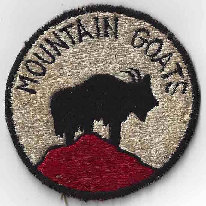 Raider Tab, 1/23rd Inf Bn and 3rd Bn PaganRaiders - ARMY AND USAAF - U ...