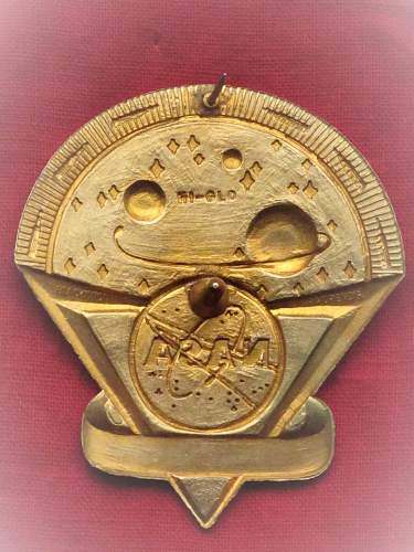 Nasa Security Guard Badge Set - WING BADGES - U.S. Militaria Forum