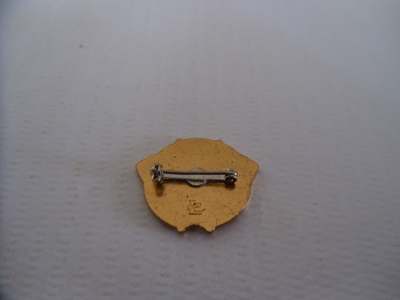 Lapel Pin Identification - LAPEL BUTTONS (DISCHARGE & RETIREMENT FOR ...