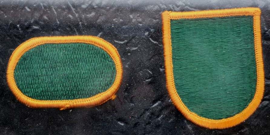 Presentation Flash & Jump Wing Oval Special Projects Branch/SHAPE ...