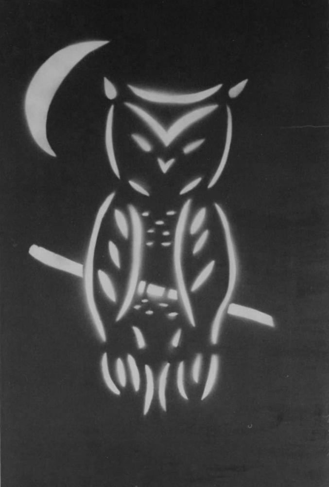 My third painted patch - 497th TFS Vietnam "Nite Owl" emblem ...